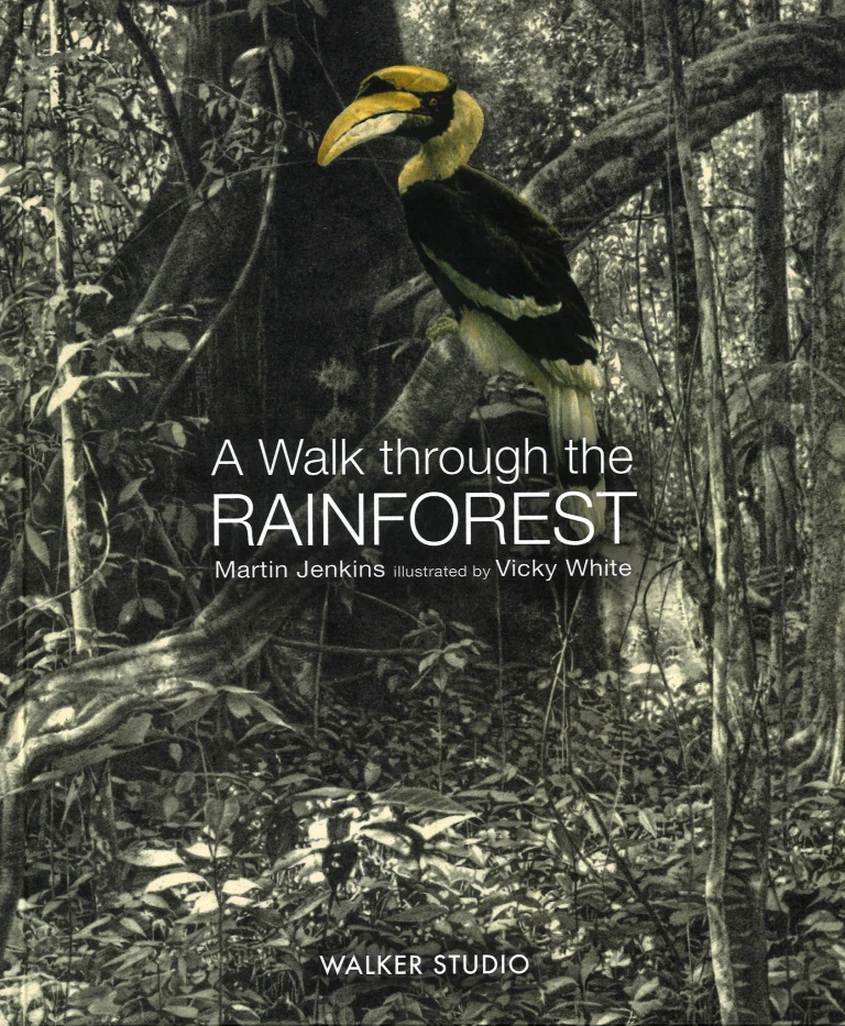 A Walk Through the Rainforest | Bologna Children BookFair | Exhibitions