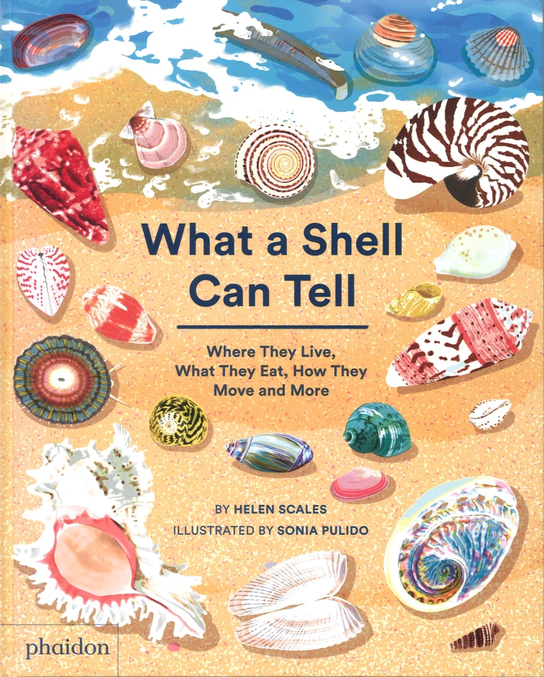 What a Shell Can Tell: Where They Live, What They Eat, How They Move ...