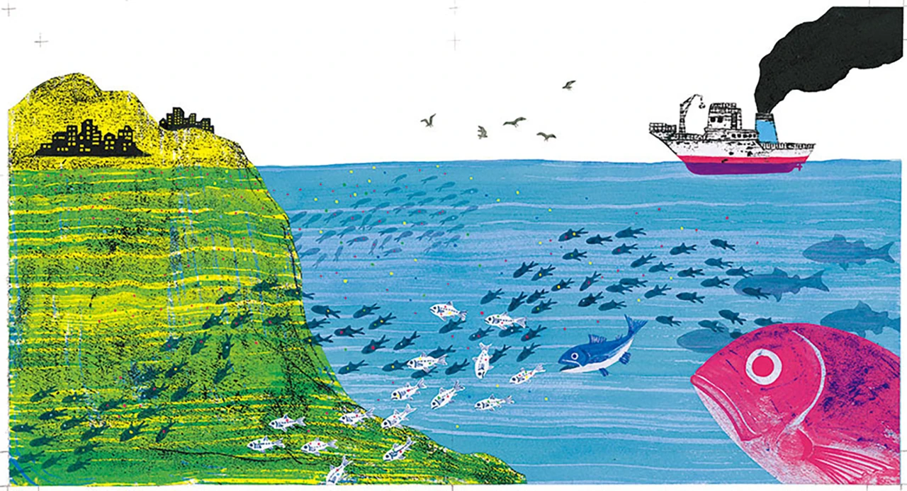 Jihyoung Kim | Bologna Children BookFair | Exhibitions