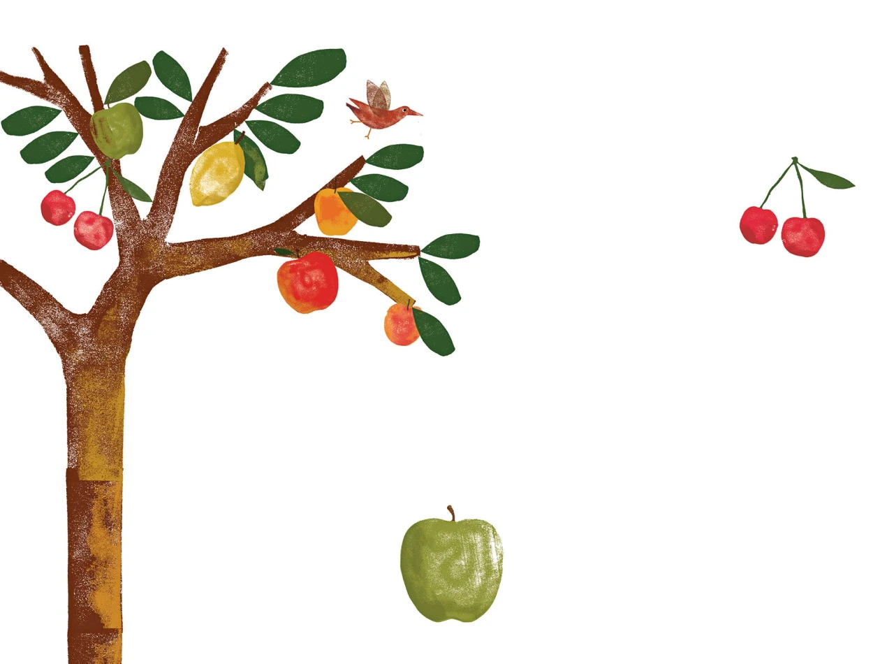 Gaia Stella | Bologna Children BookFair | Exhibitions